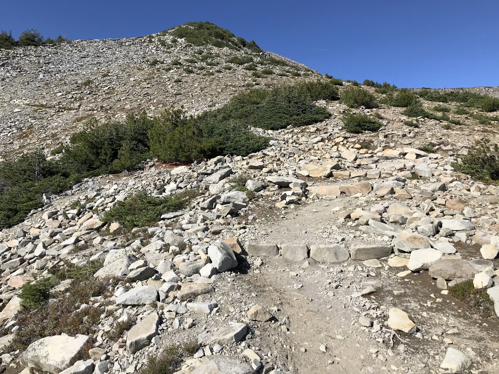 Washington Hikes: Sunrise Rim, Burroughs Mountain and Sourdough Ridge ...